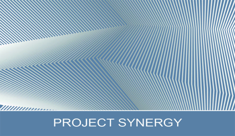 Project Synergy - Business Buyers