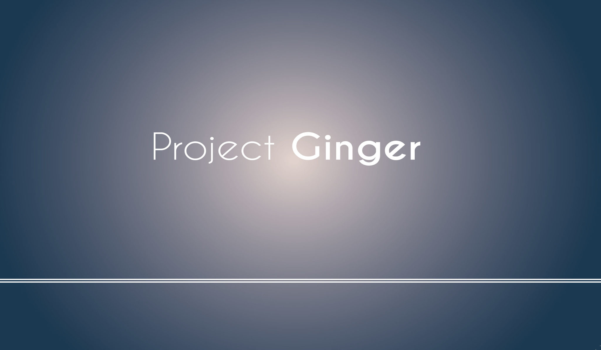Project Ginger - Business Buyers
