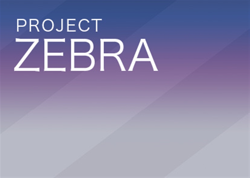 Project Zebra – Lancashire | Childcare & Education | Business Buyers